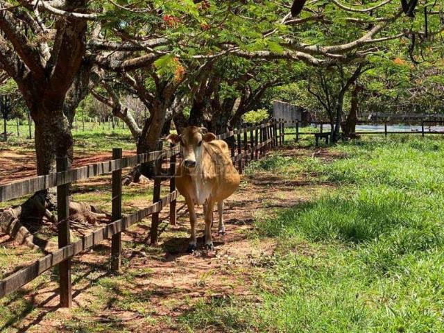 Chácara, Sítio ou Fazenda a venda em Boa Esperança Do Sul/SP Centro
