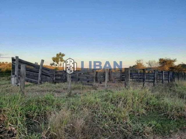 Chácara, Sítio ou Fazenda a venda em Duartina/SP Zona Rural