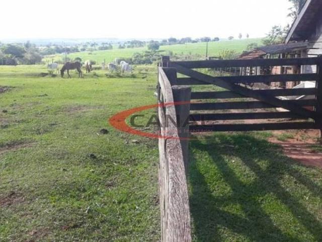 Chácara, Sítio ou Fazenda a venda em Fernão/SP Fernão