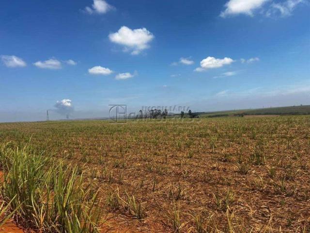 Chácara, Sítio ou Fazenda a venda em Itaju/SP área Rural De Itaju