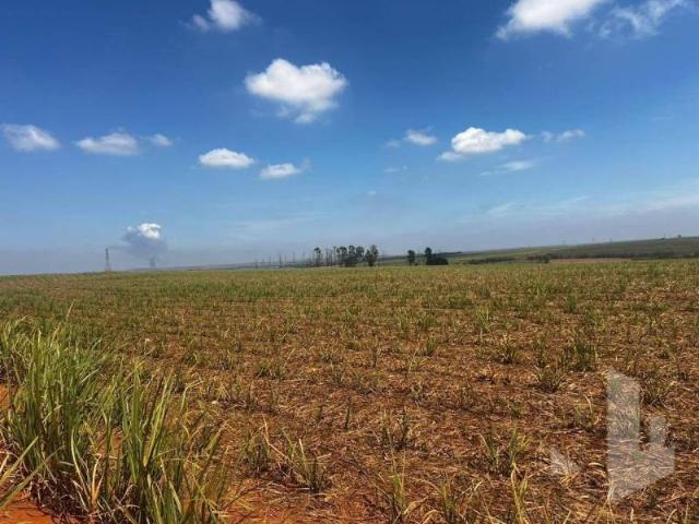 Chácara, Sítio ou Fazenda a venda em Itaju/SP Zona Rural