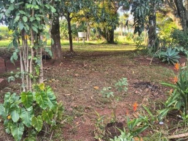 Chácara, Sítio ou Fazenda a venda em Itapuí/SP Zona Rural Chácara São João