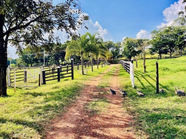 Chácara, Sítio ou Fazenda a venda em Itapuí/SP Zona Rural