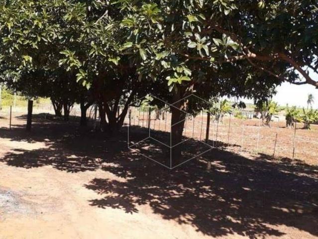 Chácara, Sítio ou Fazenda a venda em Jaú/SP Vila Ribeiro