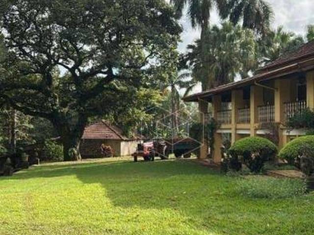 Chácara, Sítio ou Fazenda a venda em Jaú/SP Zona Rural