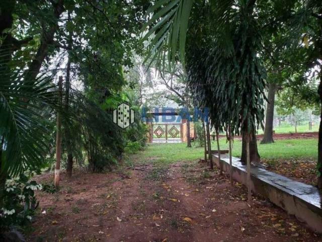 Chácara, Sítio ou Fazenda para alugar em Bauru/SP Distrito De Tibiriçá
