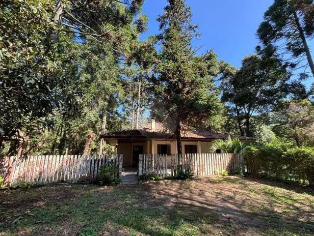 Chácara / sítio com 3 quartos para alugar na Rua João Stukas, 3748, Botiatuva, Campo Largo