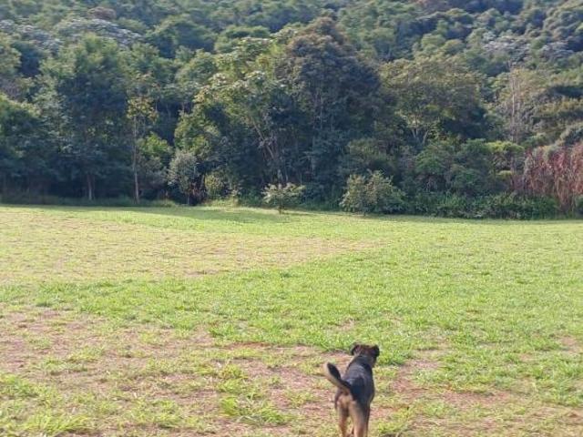 Chácara sítio 24.000ms² à venda em Santa Isabel SP