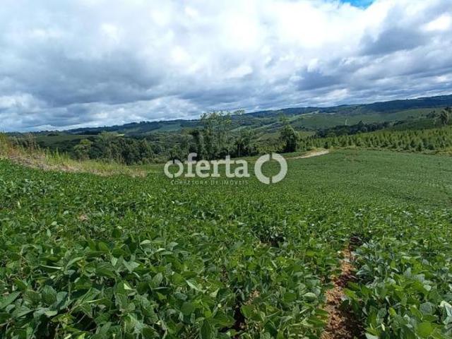 Chácara / Terreno de Planta na Lapa