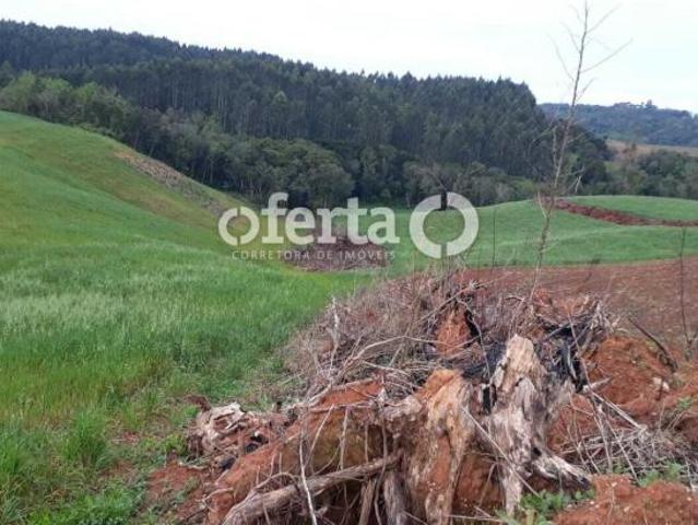 Chácara / Terreno em Quitandinha