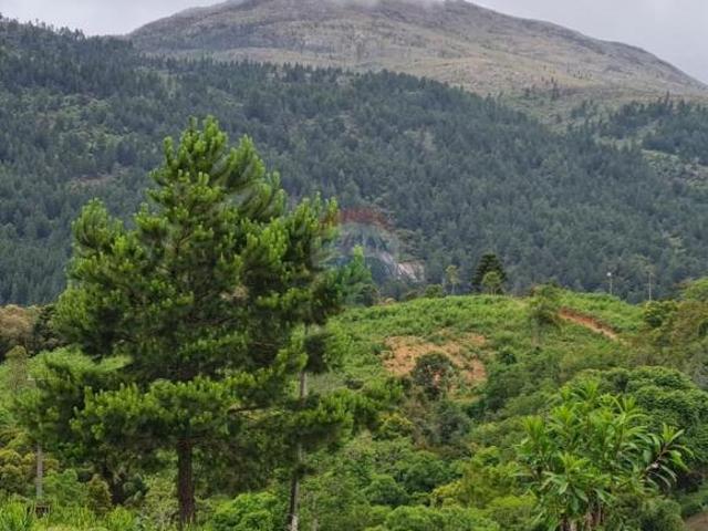 Chácara Tranquila: Natureza e Conforto no Matulão