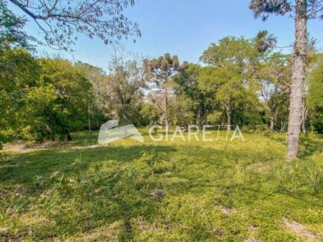 Chácara Urbana à venda,12000.00 m, JARDIM CONCORDIA, TOLEDO PR