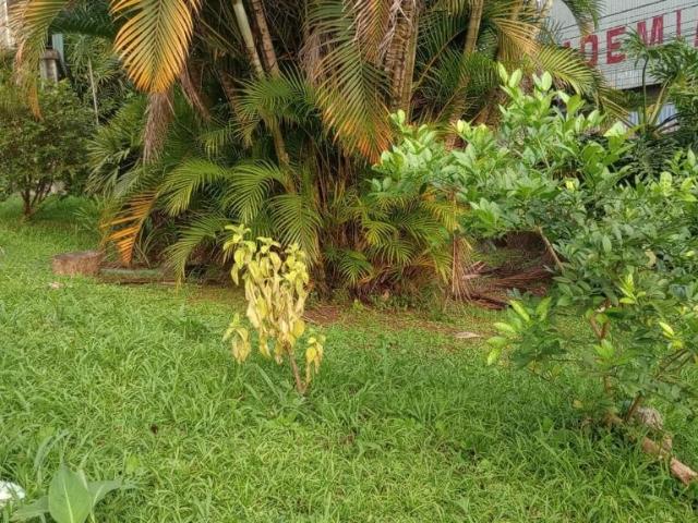 Chácara Venda Barueri SP Jardim Timbauhy