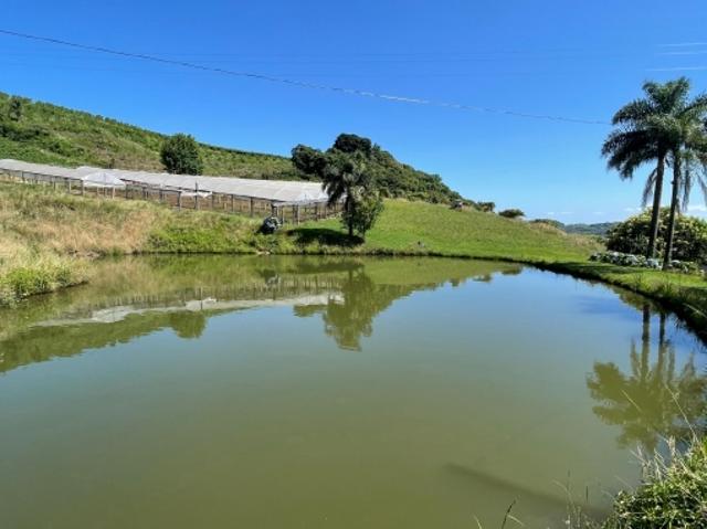 Chácara Venda Bento Gonçalves RS Caminhos de Pedra