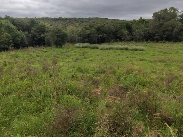 Chácara Venda Caçapava do Sul RS Interior