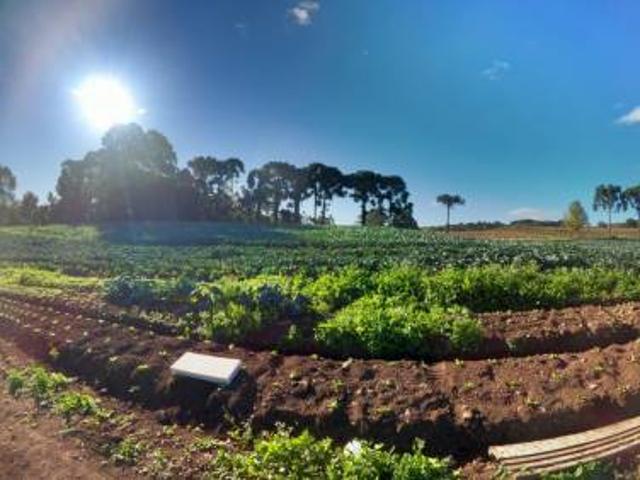 Chácara Venda Flores da Cunha RS São Cristóvão Distrito