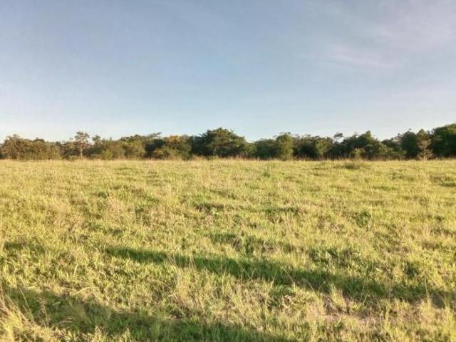Chacara, Vila Rual, Jacarezinho, PR