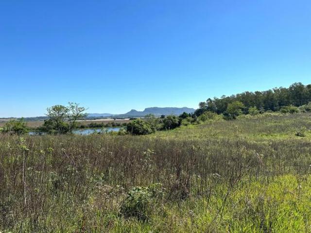 Chácara 17.000m² Passo da Taquara Glorinha RS