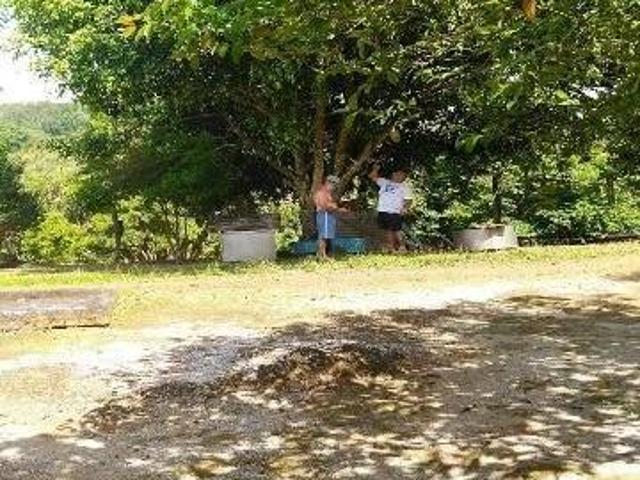Chácara para venda em Centro, Ibiúna