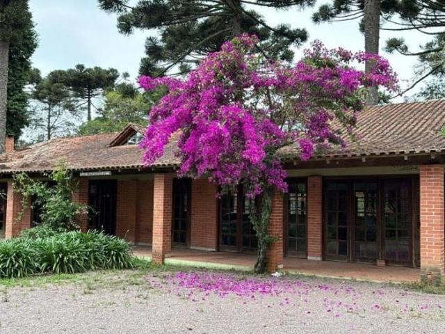 Chácara, 11 Quartos, Piscina, Colônia Malhada, São José dos Pinhais