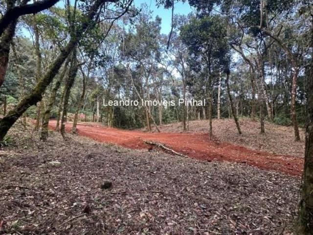 Chacara, 12 Km do Centro, Santo Antônio do Pinhal, SP
