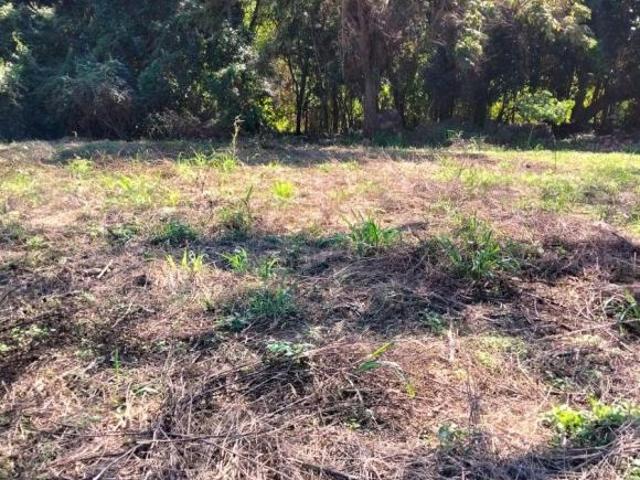 CHÁCARA 1.000m². Bairro: Roseira. Mogi Guaçu. Acesso ao Rio Manso