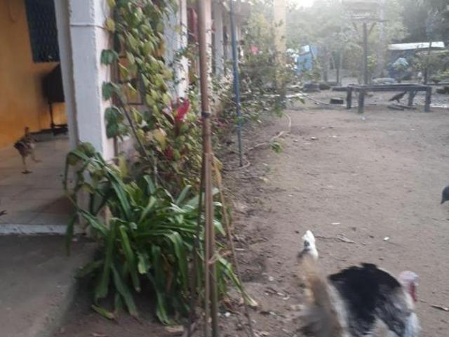 Chácara