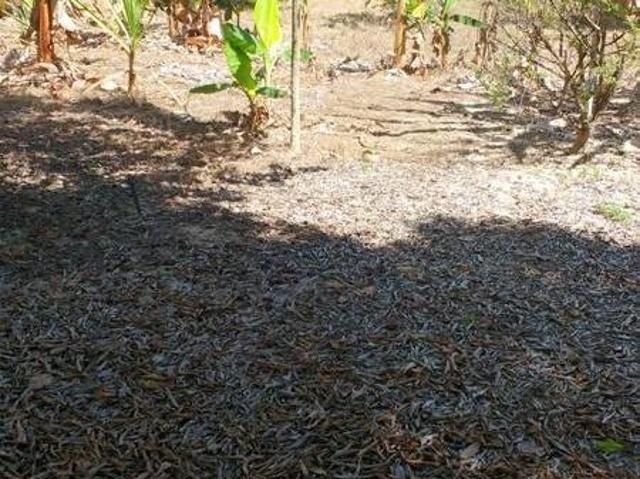 Chácara para venda em Centro, Esmeraldas