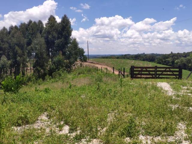 Chácara 27.022,68 m² Balsa Nova Rincão
