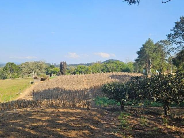 Chácara 20.000 m² com Casa, pomar, nascentes, lago, em Mandirituba