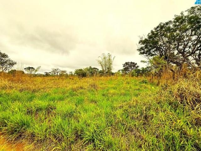 Chácara 20.000m² Usina Solar Saia Velha