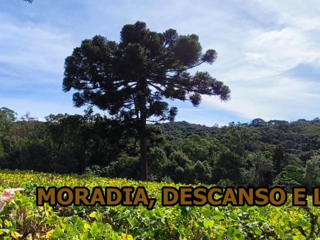 Chácara 20.11 m² Ekko Village Campo Largo/Pr