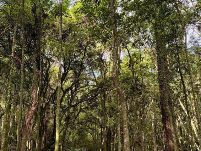 Chácara 20.679m² em Fazenda Souza