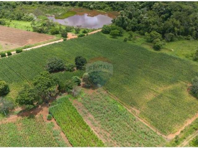 Chácara 21 Hectares em Jardim ABC 15 km do condomínio AlphaVille Escriturada