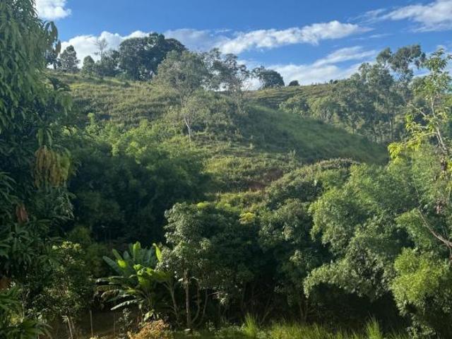 CHÁCARA 2.100 m² C/ CASA AMPLA E LAGOA DE PEIXES À VENDA EM CARMÓPOLIS/MG