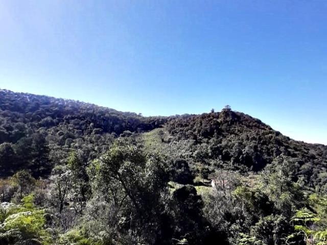 Chácara 2.200 m² Bocaiuva do Sul