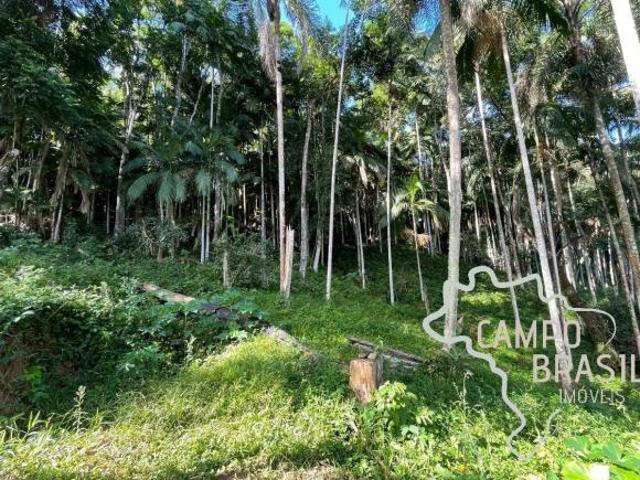 CHÁCARA 2,5 ALQUEIRES COM VISTA ESPETACULAR NA ZONA NORTE DE SÃO JOSÉ DOS CAMPOS !
