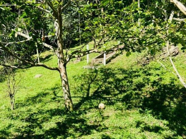 CHÁCARA 2.750 MTS MAIRIPORÃ TERRA PRETA