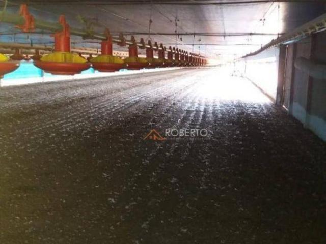 CHÁCARA 2 ALQUEIRES COM BARRACÃO DE FRANGO EM GRACIOSA
