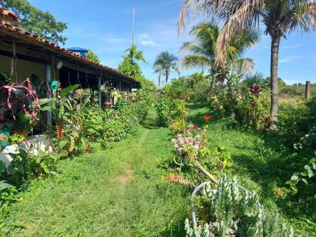 Chácara 2 Hectares Paranoá DF 260 ! 450.000 !