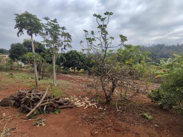 Chácara para venda em Usina Três Bocas, Londrina