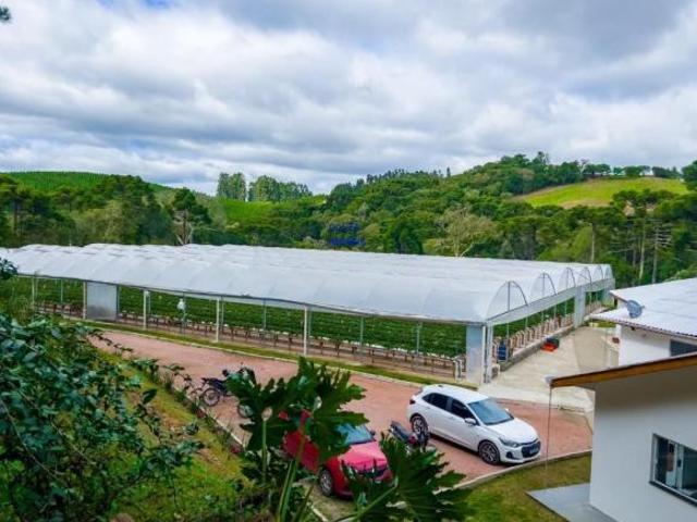 CHÁCARA 3/7 ALQUEIRES, ALTO PRODUTIVA, LAZER, CONFORTO E TRANQUILIDADE COM ESTUFA MORANGO, CASA ALVE