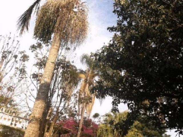Chácara para venda em Atibaia Belvedere, Atibaia