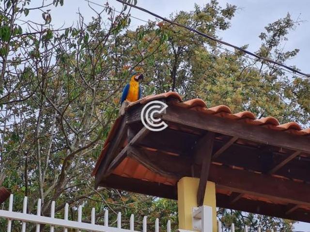 Chácara