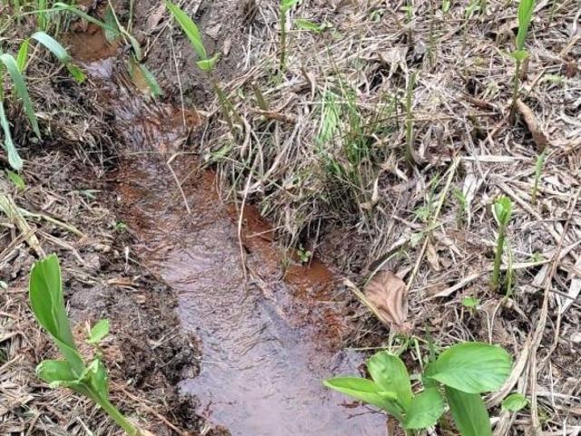 CHÁCARA 3.000m² C/ LAGOA DE PEIXES E CASA COM VARANDAS À VENDA EM PIEDADE DOS GERAIS/MG