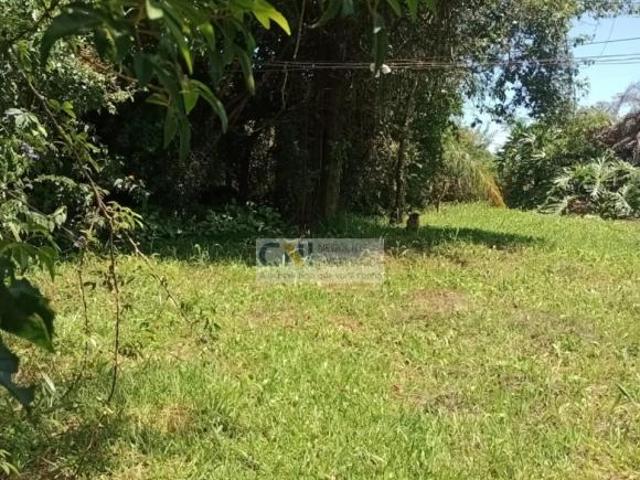 Chácara 3.016m2 à Venda 3km do Shopping Catuai Londrina