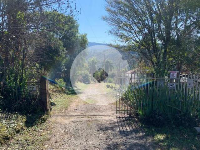 Chácara 4.600 m² com casa e pomar à venda na Estrada Itambé Campo Largo