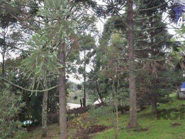 Sítio para venda em Área Rural de Gramado, Gramado