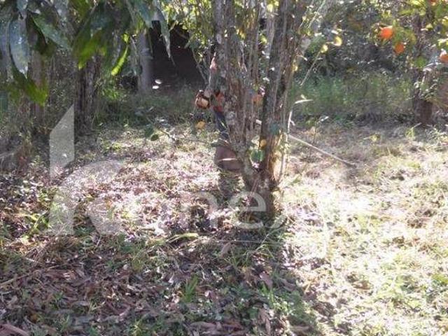 Chácara para venda em Centro, Paraibuna