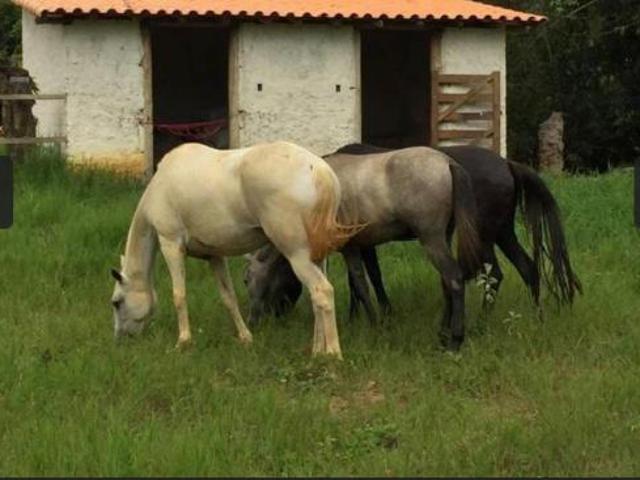 Sítio para venda em Centro, Funilândia